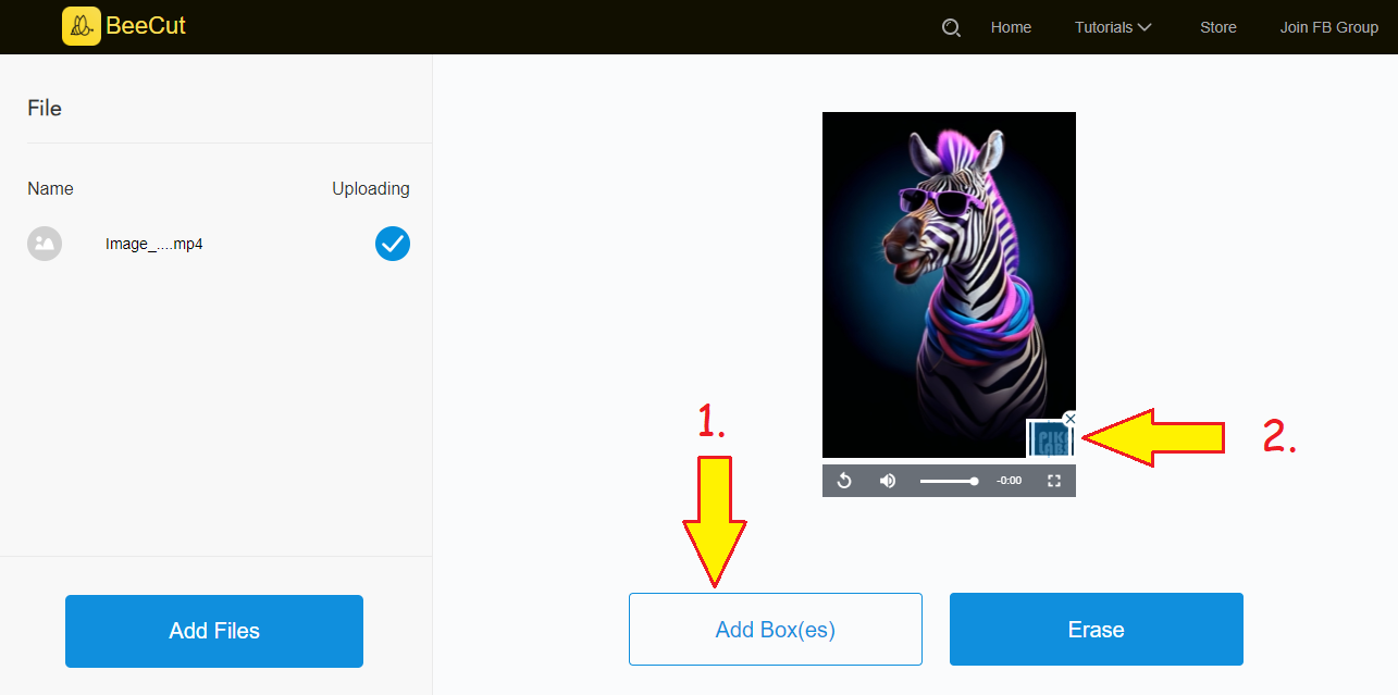 Remove Watermark from Pika Labs Video